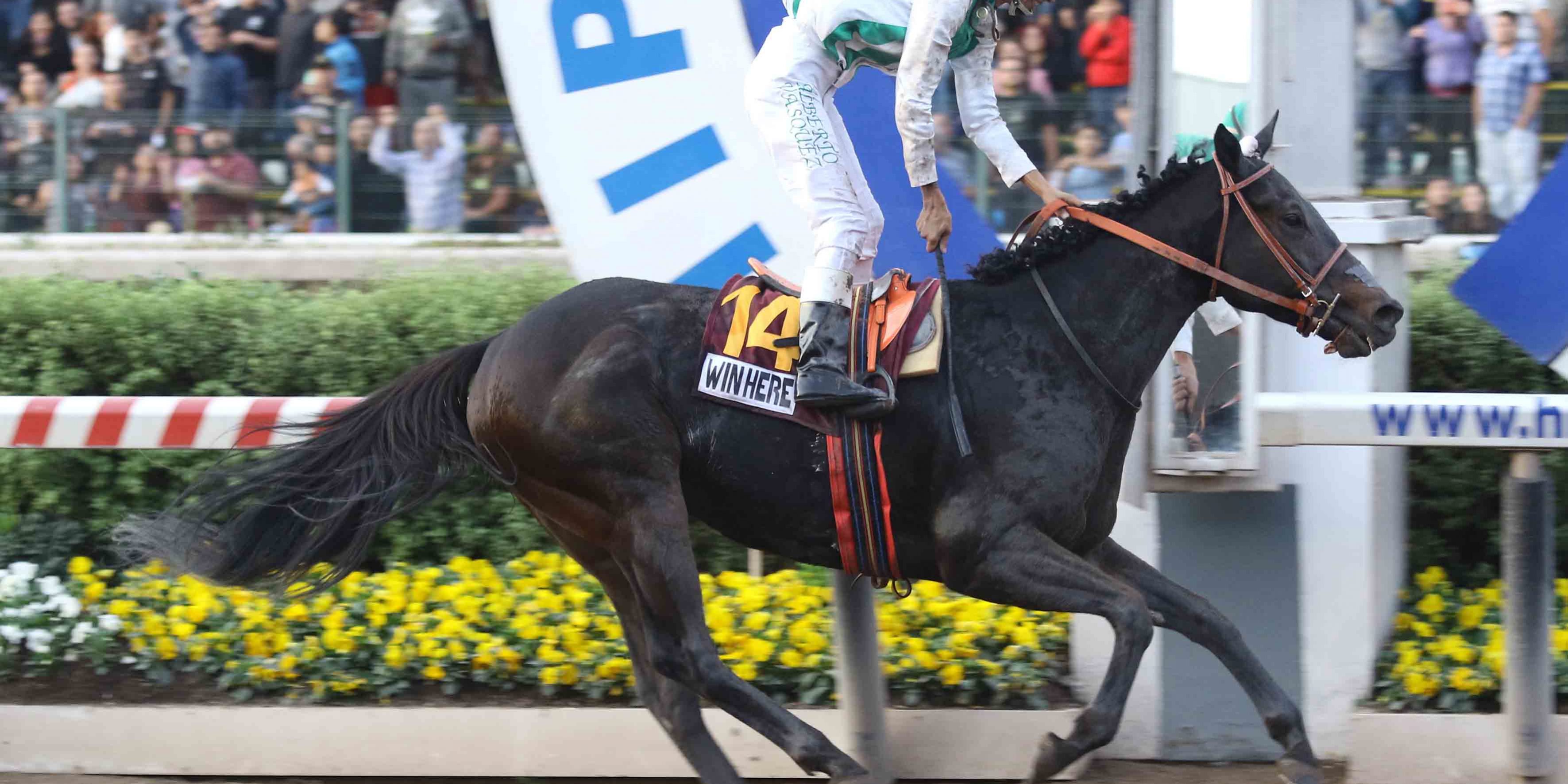 WIN HERE… CON EL SELLO DE ALBERTO VÁSQUEZ – Vamos a la Hipica